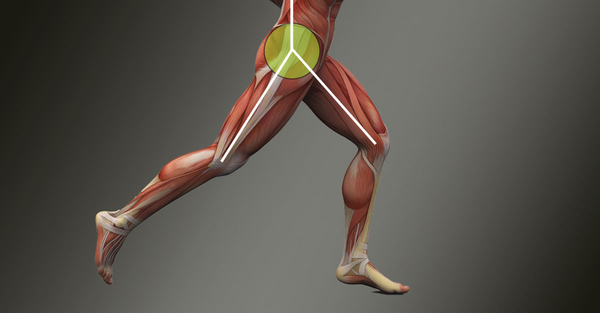 Hip Strength and Balance (Part 1 of 2) - Pro Physical Therapy